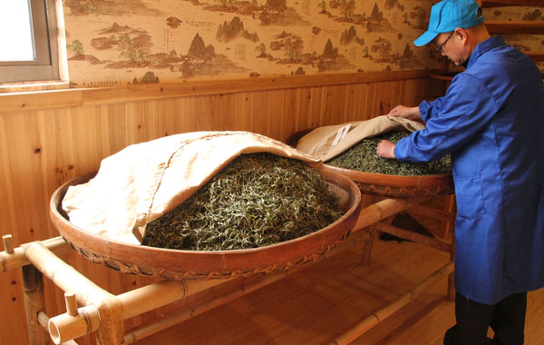 Blog - How To Identify The Difference Between Raw Pu'Er Tea And Ripe Pu ...