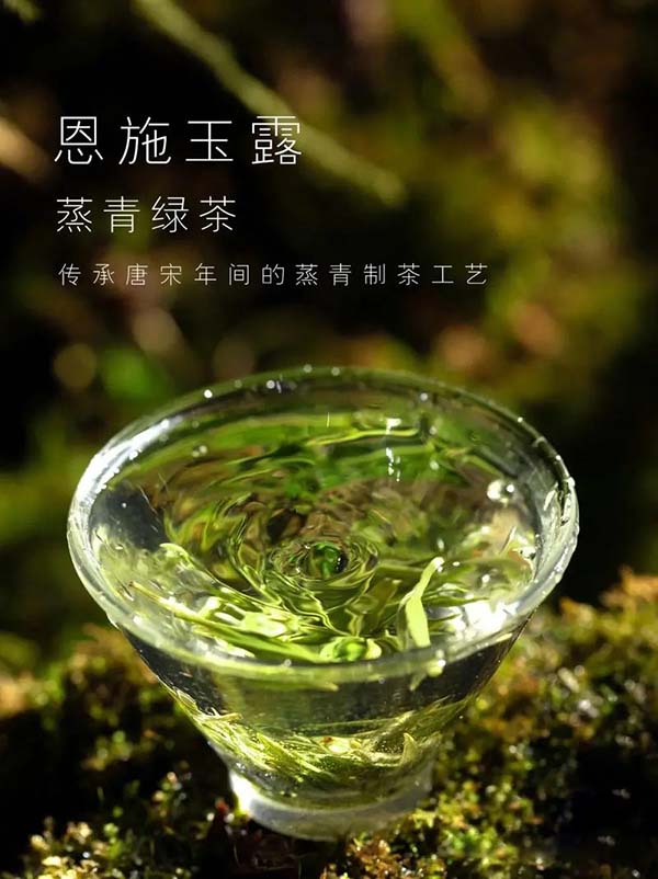 Blog - Enshi Yulu - China's Rare Steamed Green Tea