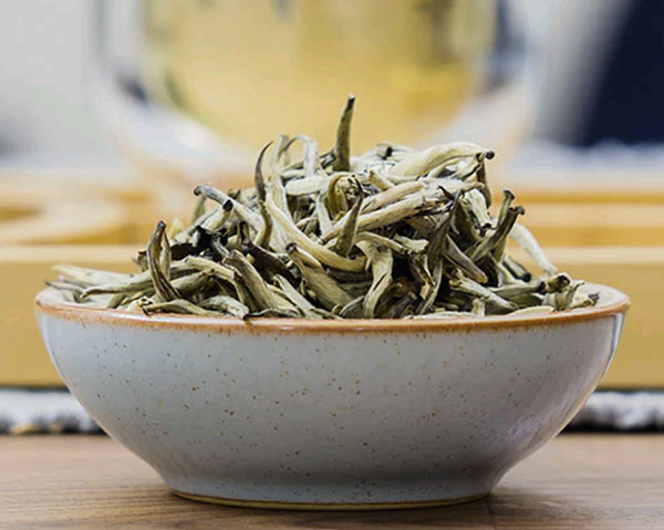 Blog - What Is White Tea The Complete Guide To White Tea