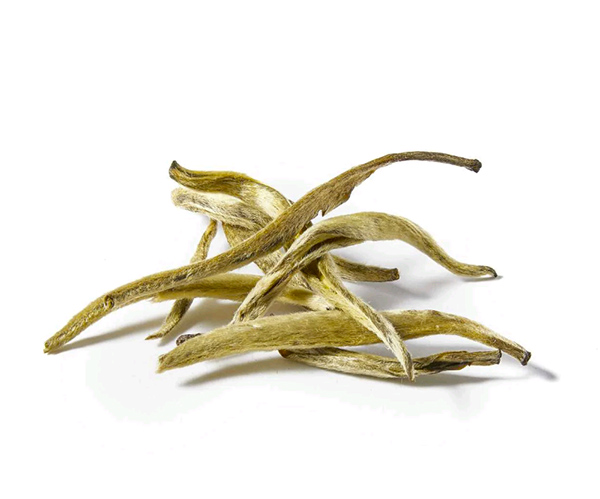 Blog - What Is White Tea The Complete Guide To White Tea