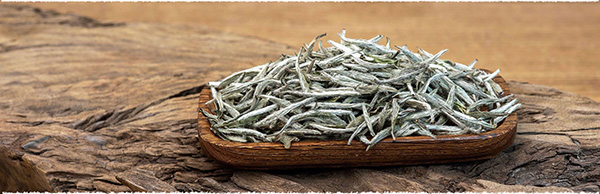 Blog - Types of White Tea and Its Caffeine Content