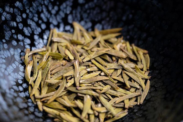Blog - Yellow Tea: Your Guide To This Rare Variety